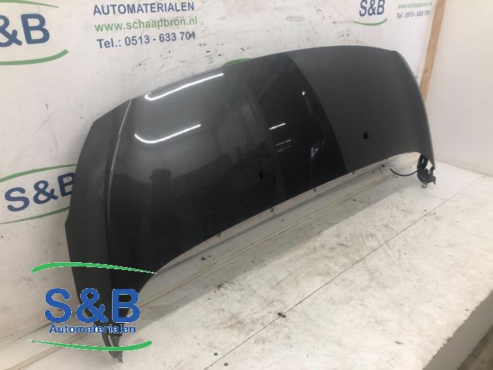 Voorkop Kaal Peugeot Expert 1.6 Blue HDi 120 - 9808572580