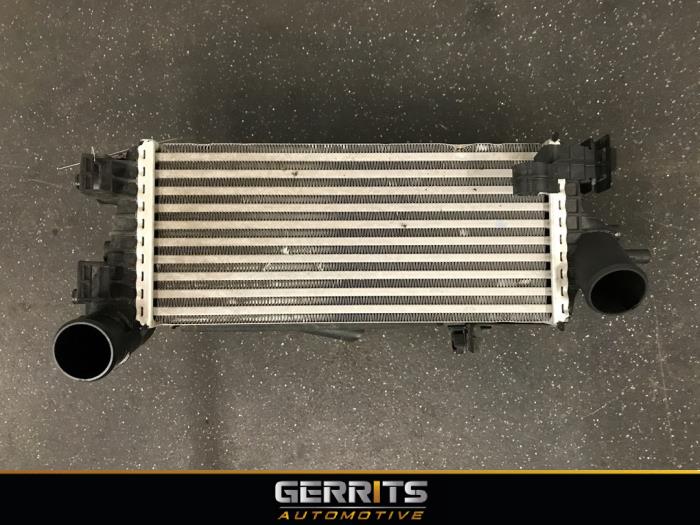 Ford Focus Intercoolers voorraad | Onderdelenlijn.nl