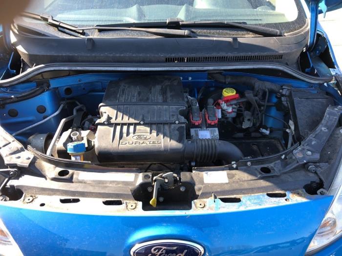 Ford KA Motoren voorraad | Onderdelenlijn.nl