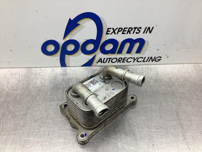 Oliekoelers met artikelnummer 213052032R voorraad