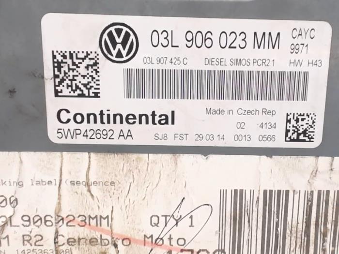 Volkswagen Jetta Computers Motormanagement voorraad