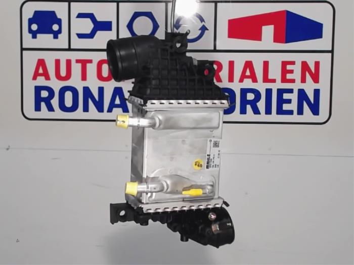 Gebruikte Volkswagen Transporter/Caravelle T6 2.0 TDI 150 4Motion ...