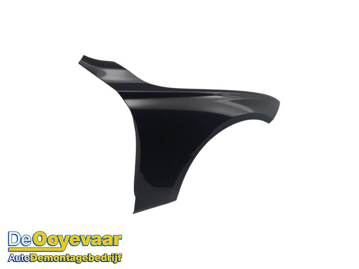 Schermen rechts-voor met artikelnummer 41007438440 voorraad