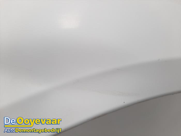 Scherm links-voor Mercedes Sprinter 3,5t 313 CDI 16V 9147 - A9068810101