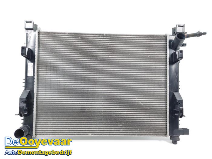 Radiateuren met artikelnummer 214107326R voorraad