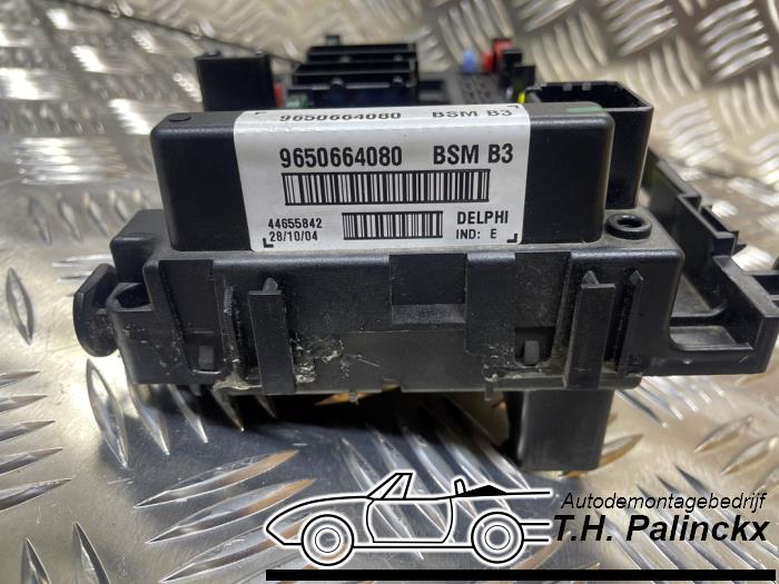 Zekeringkast Peugeot 307 1.6 16V - 9650664080 DELPHI