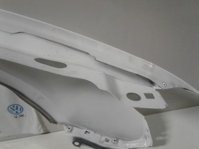 Scherm links-voor Audi A3 - 8V0821091 - Baris Schiedam