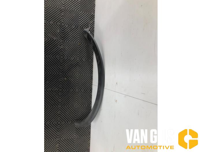 Spatbord links-achter Nissan Qashqai O287175 - VanGilsAutomotive