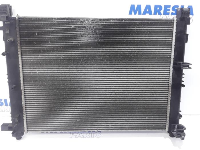 Radiateuren met artikelnummer 214107326R voorraad