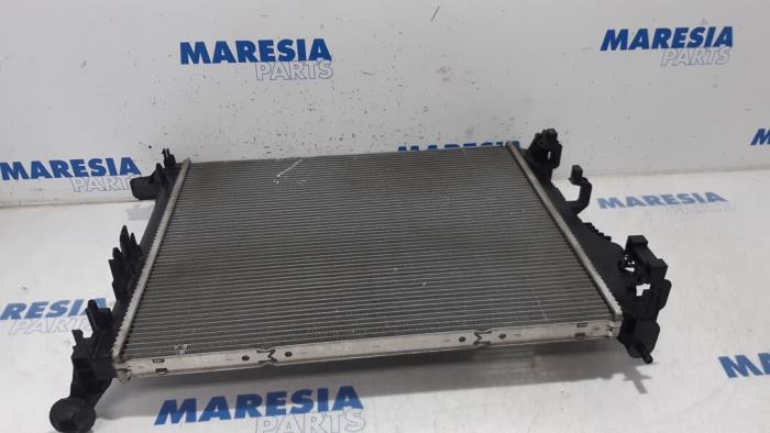 Radiateuren met artikelnummer 214105169R voorraad