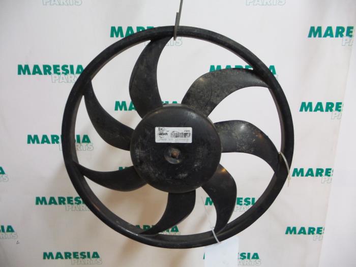 Koelvin Motor Peugeot Boxer 2.2 HDi 120 Euro 4 - 1250H9