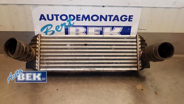 Ford Transit Connect Intercoolers voorraad | Onderdelenlijn.nl