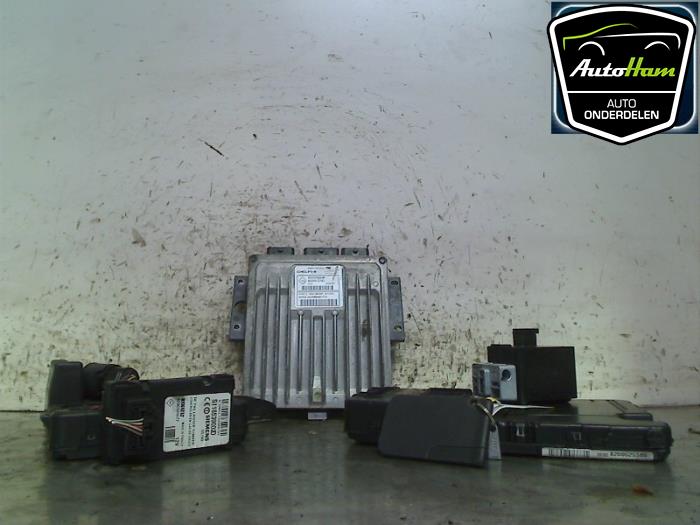 Renault Scenic Contaktsloten + computers voorraad