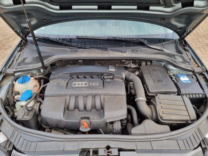 Motor Audi A3 1.6 - 06A100043P BSE - Alexander Autodemontage