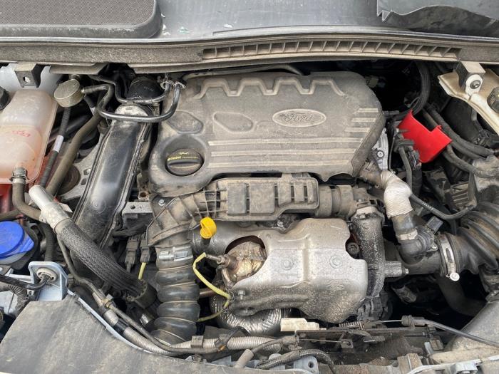 Ford Transit Connect Motoren voorraad | Onderdelenlijn.nl