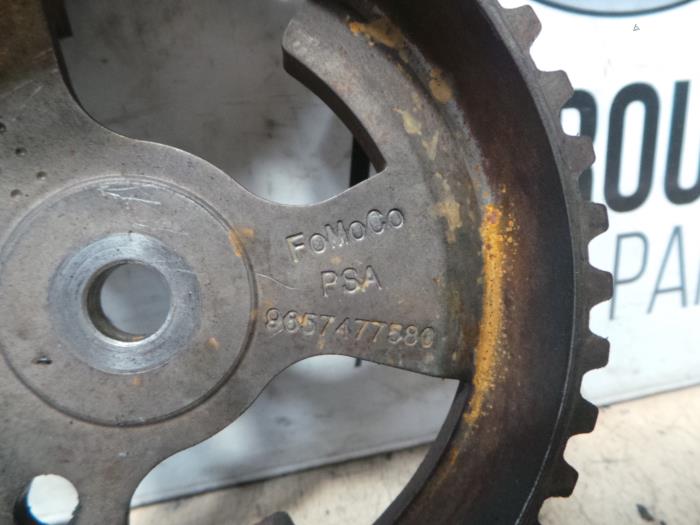 Gebruikte Citroen Berlingo 1.6 HDI 16V 75 Nokkenas Tandwiel ...