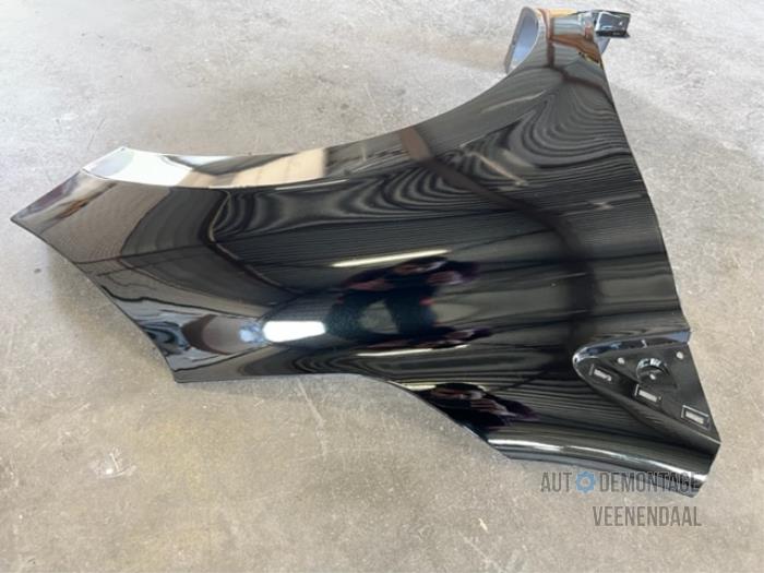 Scherm rechts-voor Renault Clio IV TEGNE - 631002841R