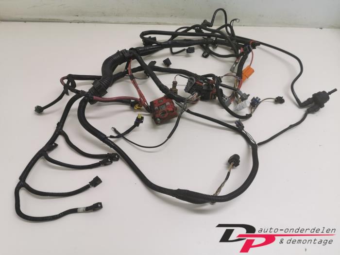 Renault Grand Scenic Kabelbomen motorruimte voorraad