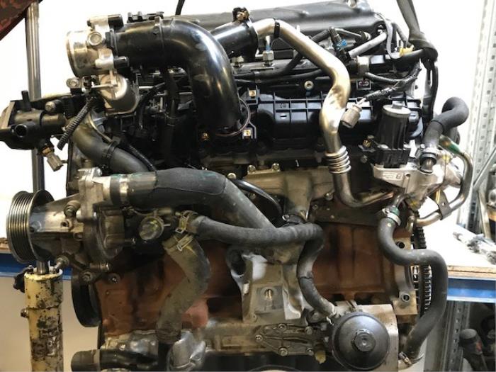 Motor Ford Ranger 3.2 TDCi 20V - SA2S