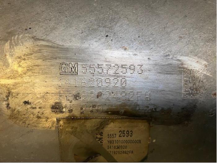 Katalysatoren met artikelnummer 55572593 voorraad