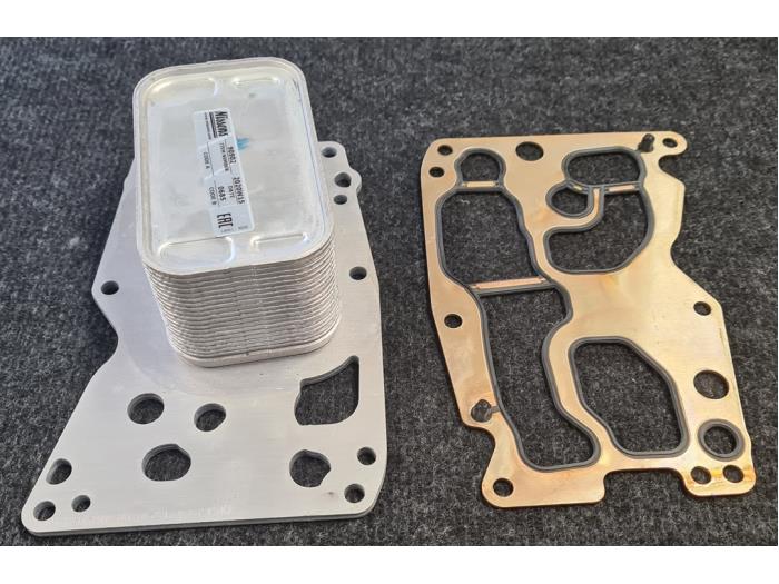 Motor BMW 5 serie Touring 530d xDrive 24V Performance Power Kit - N57D30A