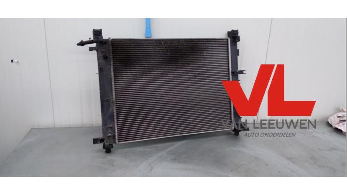 Radiateuren met artikelnummer 214107326R voorraad