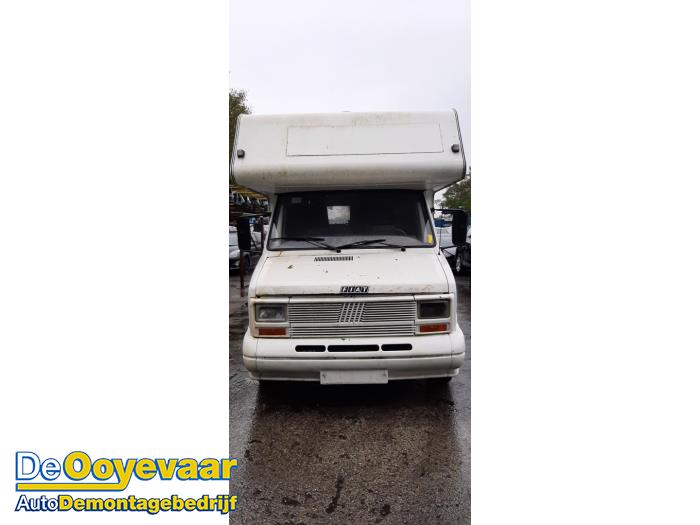 Fiat Ducato 81- Occasion (1988, Wit)
