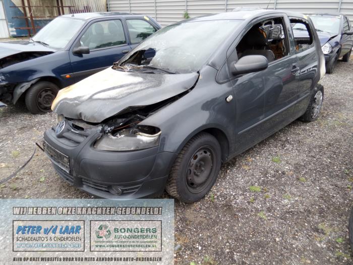 Volkswagen Fox Sloopvoertuig (2009, Grijs)