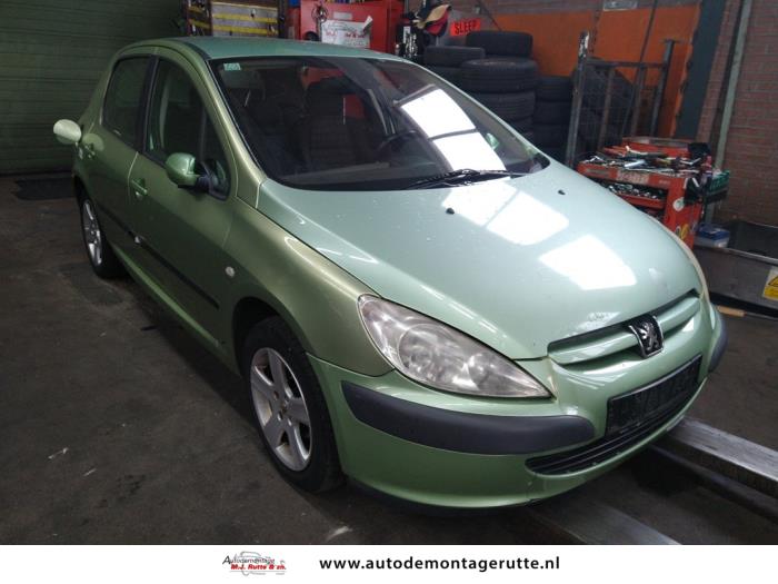 Peugeot 307 1.6 16V Sloopvoertuig (2004, Groen)