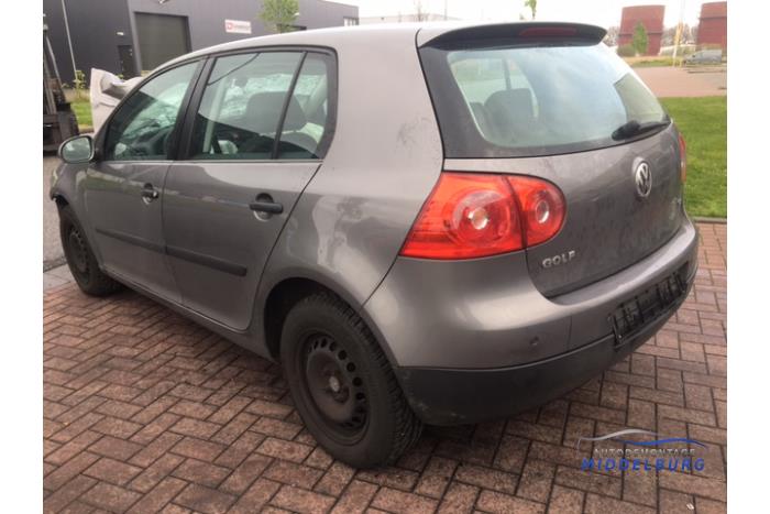 Volkswagen Golf V 4Motion 1.9 TDI Sloopvoertuig (2005, Grijs)