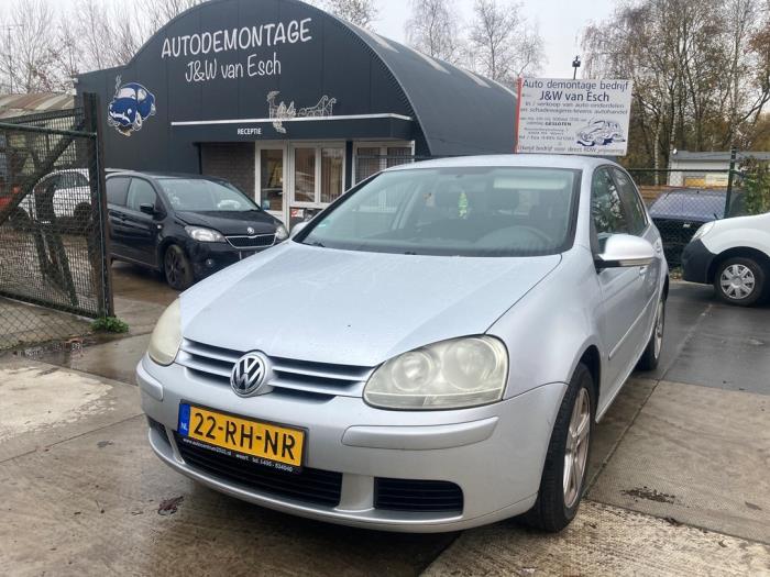 Volkswagen Golf V 1.6 FSI 16V Sloopvoertuig (2005, Grijs)